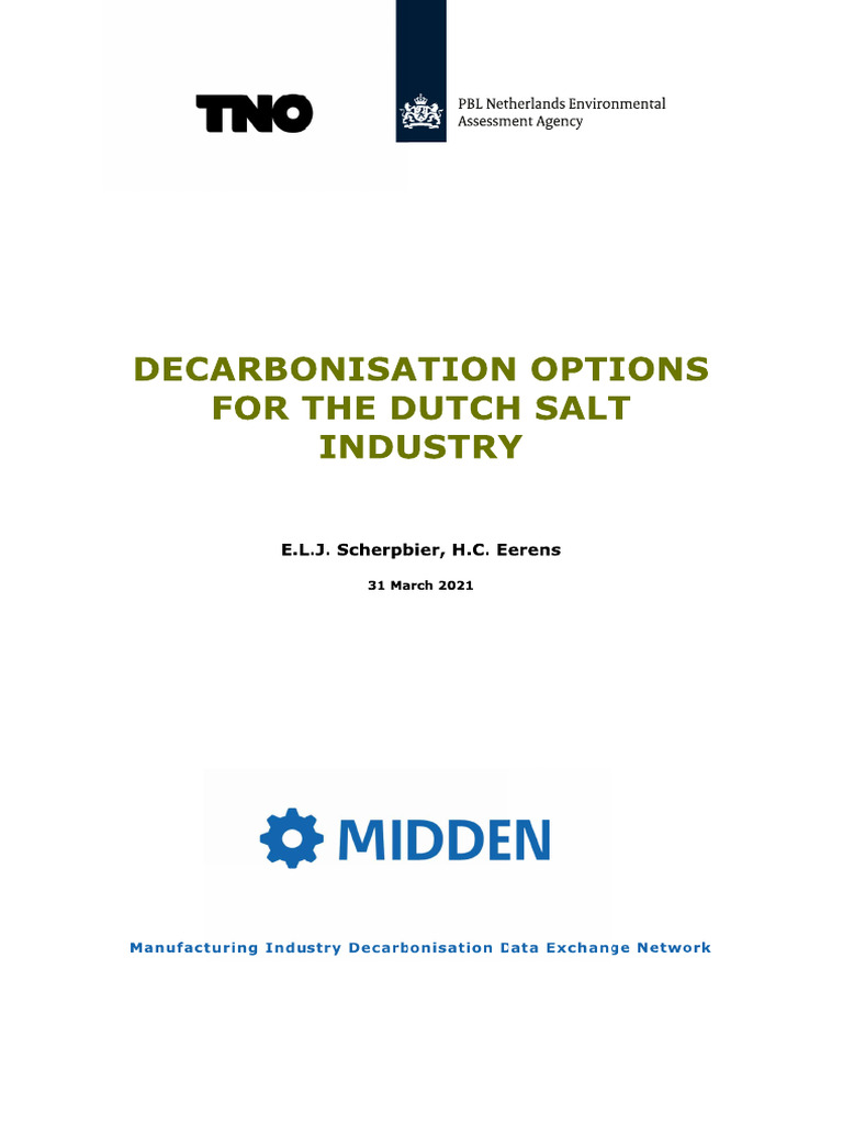 Decarbonisation Options For The Dutch Salt Industry | PDF