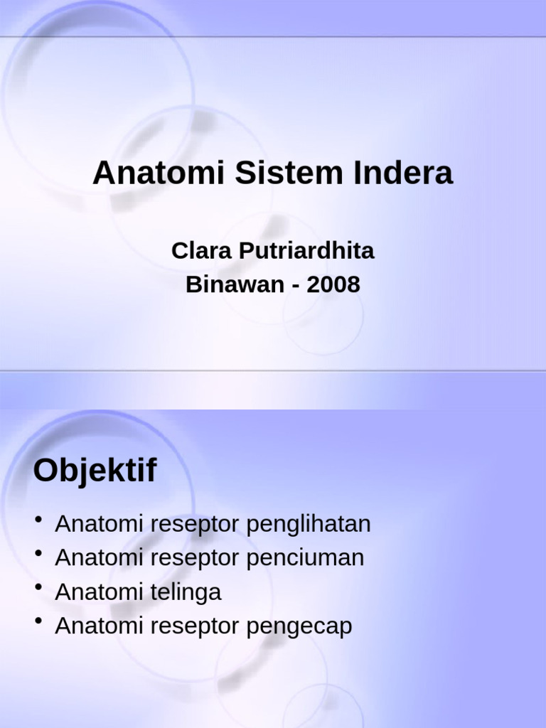 Anatomi Sistem Indera | PDF
