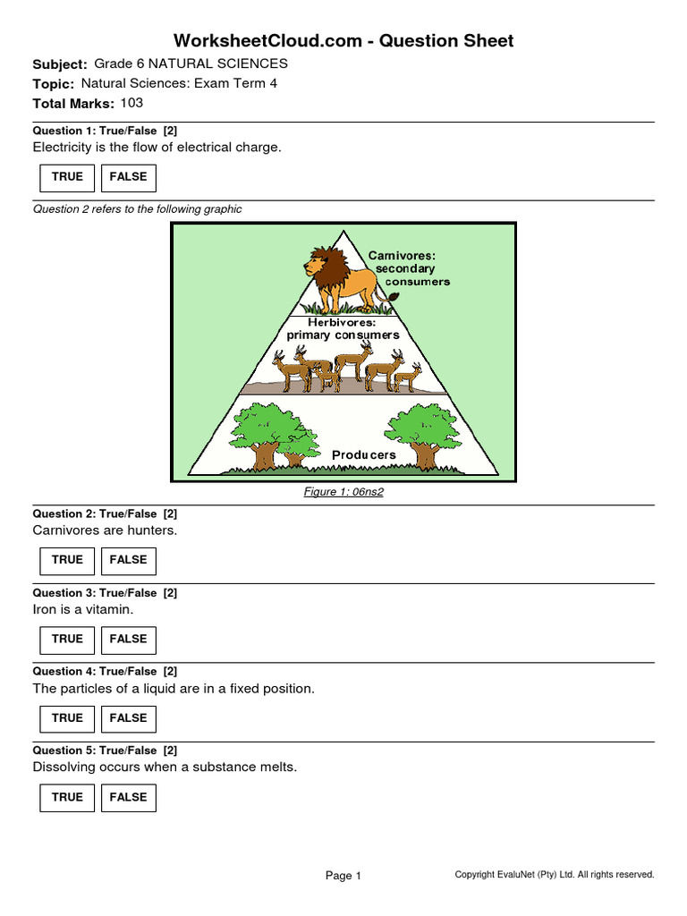 g6 Natural Sciences Term 4 Exam | PDF | Water | Chemistry
