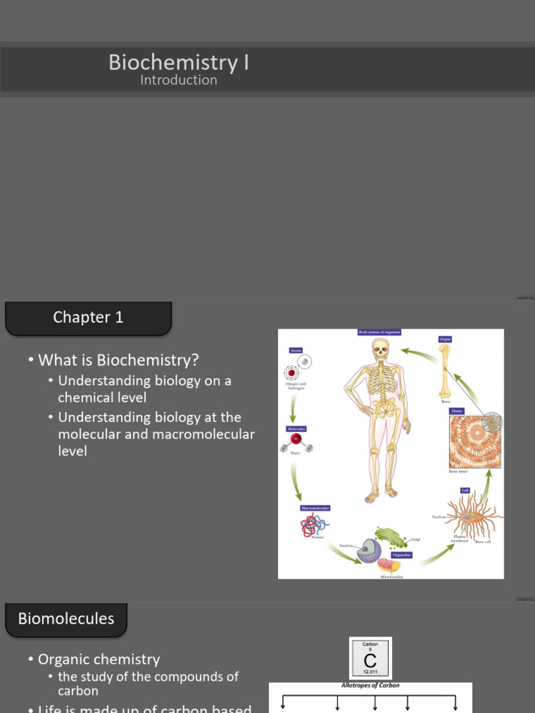 Biochem Lecture 1 - Introduction | PDF | Rna | Biomolecules