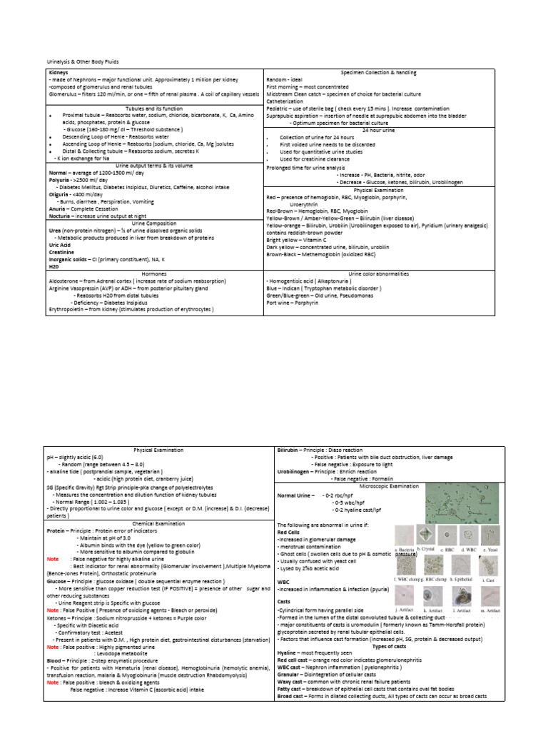 Ward Class Aubf | PDF | Kidney | Genitourinary System