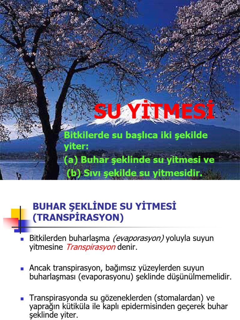 Hafta Ders Notu | PDF