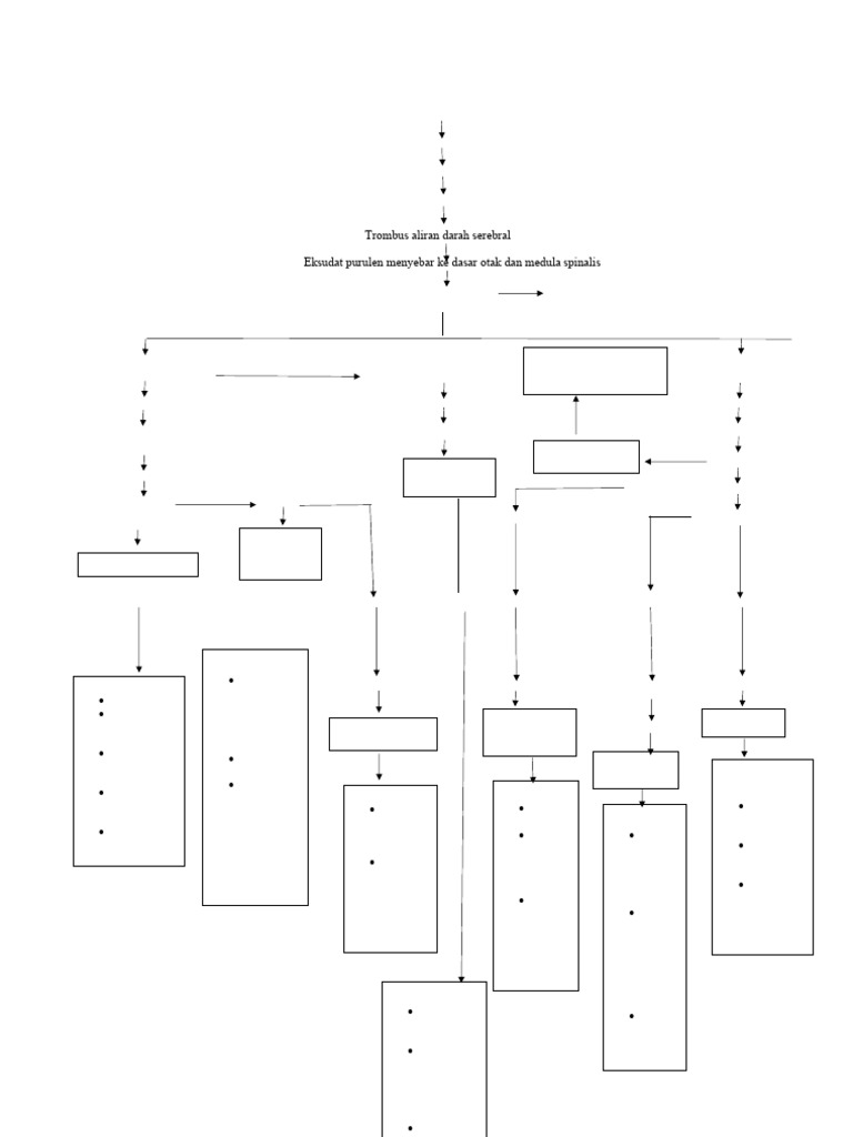 Woc Meningitis | PDF