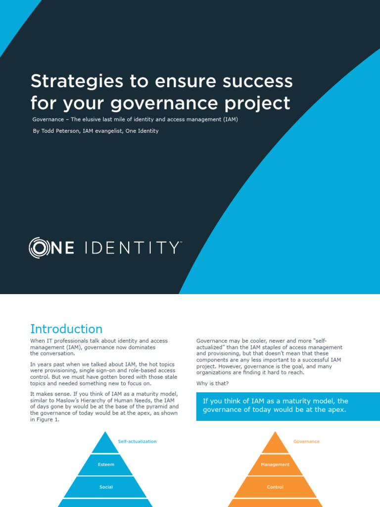 Identity Governance Success Strategies | PDF | Governance | Self ...