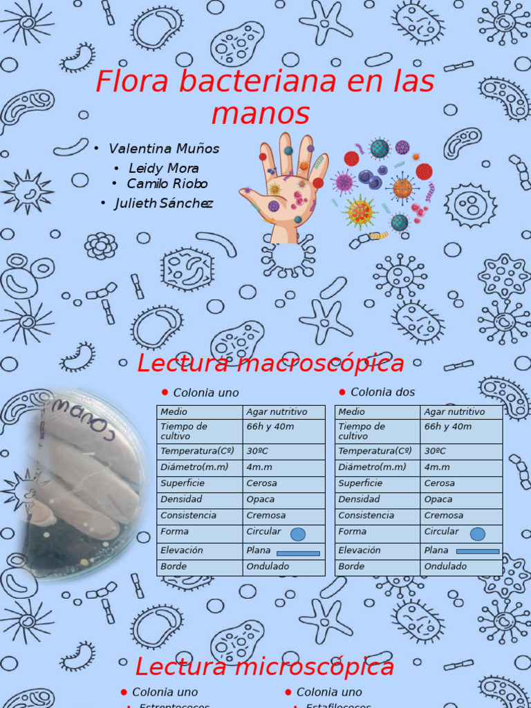 Análisis de flora bacteriana en manos | PDF