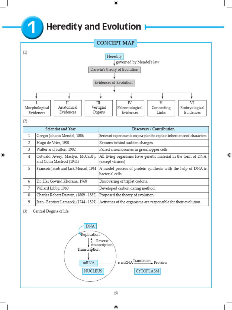 Heredity and Evolution Overview | PDF | Translation (Biology) | Genetic ...