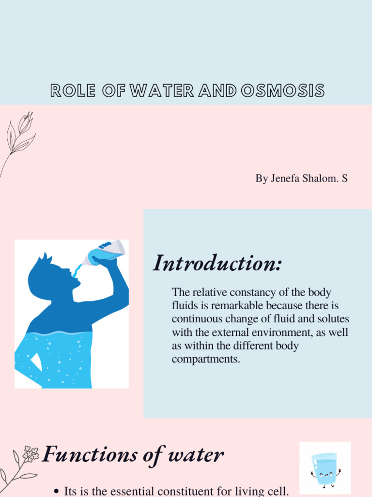 Role of Water and Osmosis in Homeostasis | PDF | Osmosis | Physiology