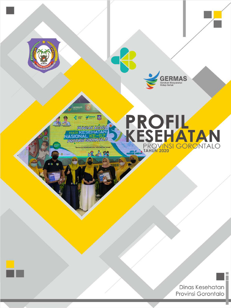 Profil 2020 Fix | PDF