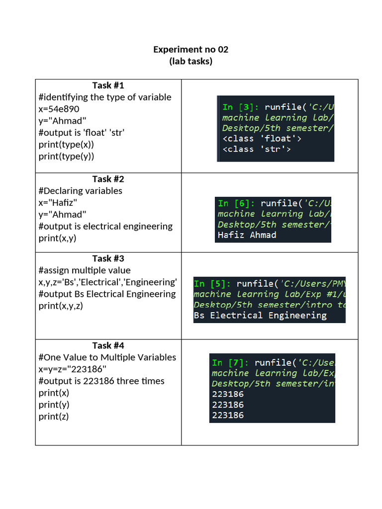Python Variable and Type Operations | PDF