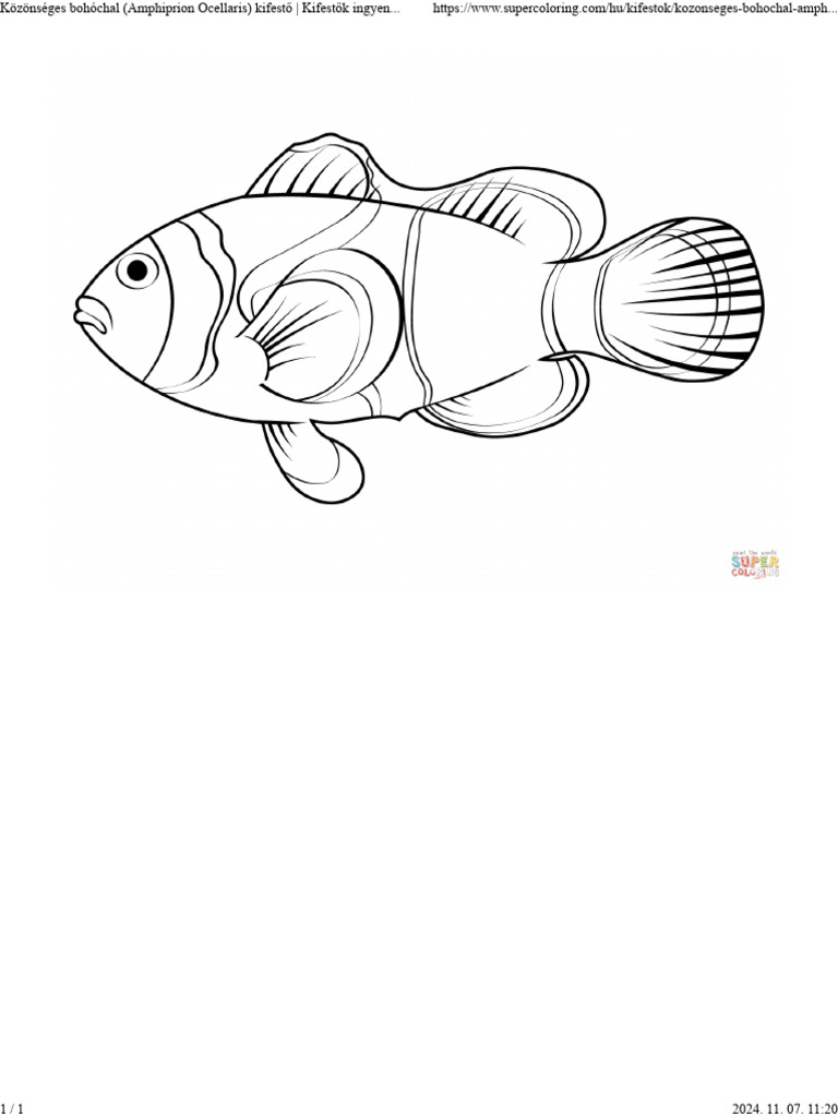 Közönséges Bohóchal (Amphiprion Ocellaris) Kifestő - Kifestők Ingyen ...