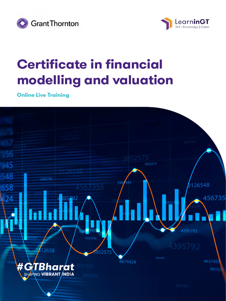Financial Modelling & Valuation Course | PDF | Valuation (Finance ...