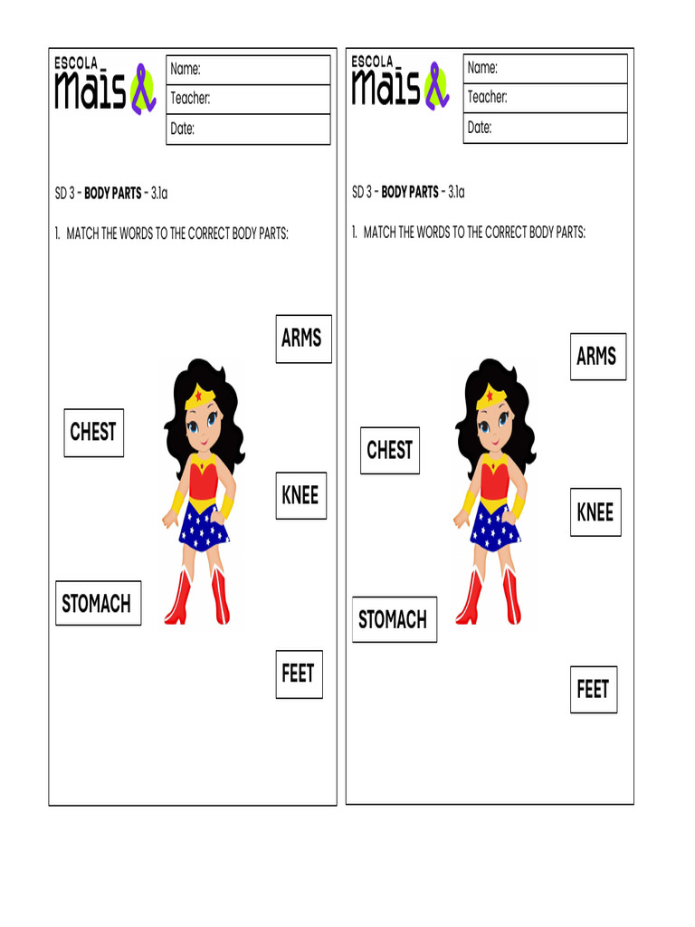 Body Parts Activities for Students | PDF | Linguistic Typology | Grammar
