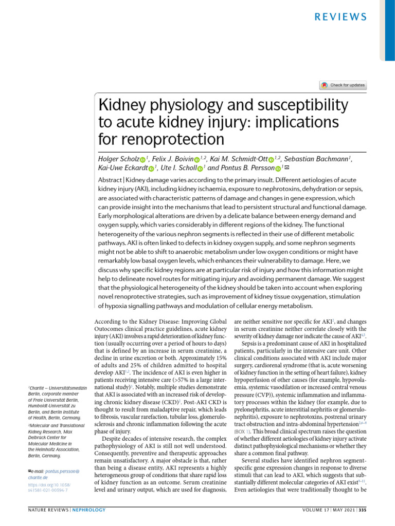 Kidney Physiology On AKI | PDF | Kidney | Blood Vessel
