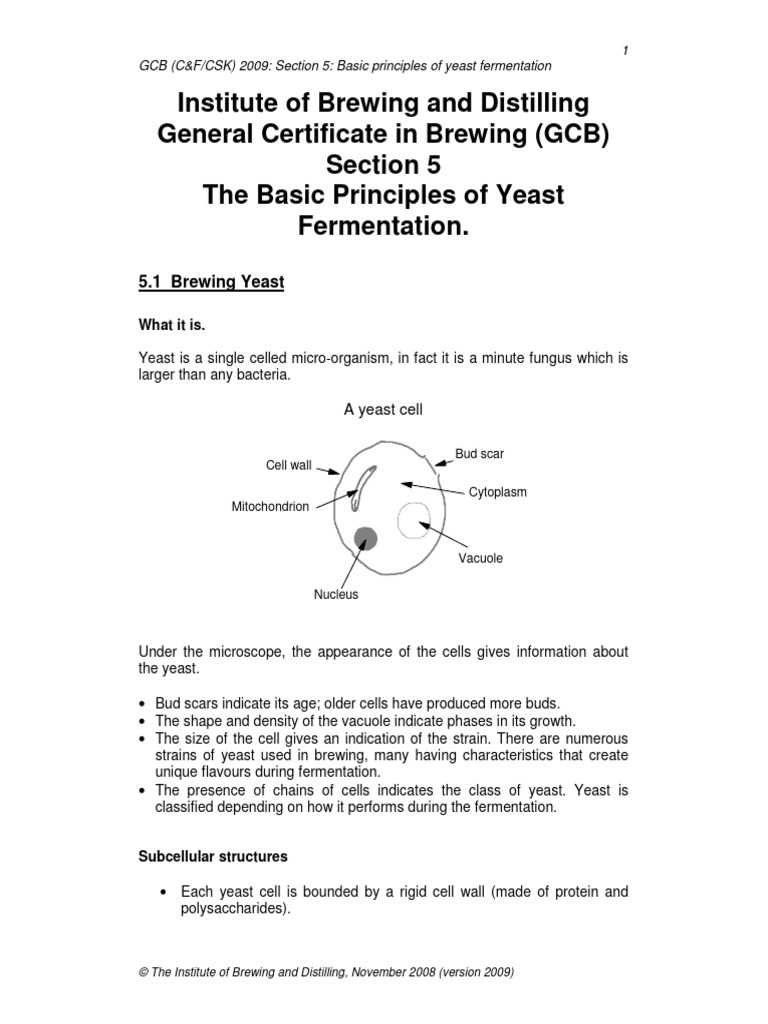 GCB 2009 Sect 5 Basic Yeast Fermentation | PDF | Brewing | Beer