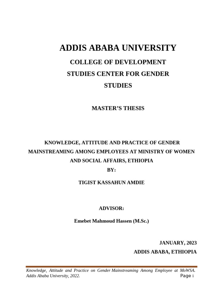 Tigist Kassahun | PDF | Equal Opportunity | Methodology