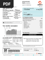 Electricity Bill Summary & Payment Guide | PDF | Economies | Service ...
