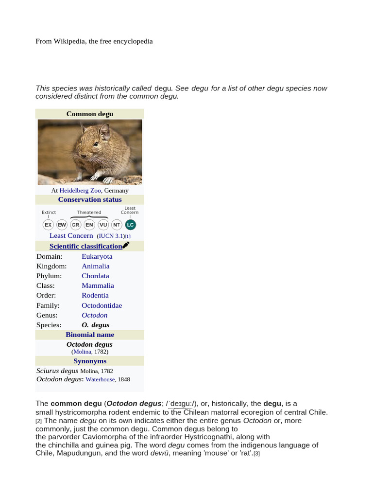 Common Degu: Meaning and Overview | PDF | Zoology