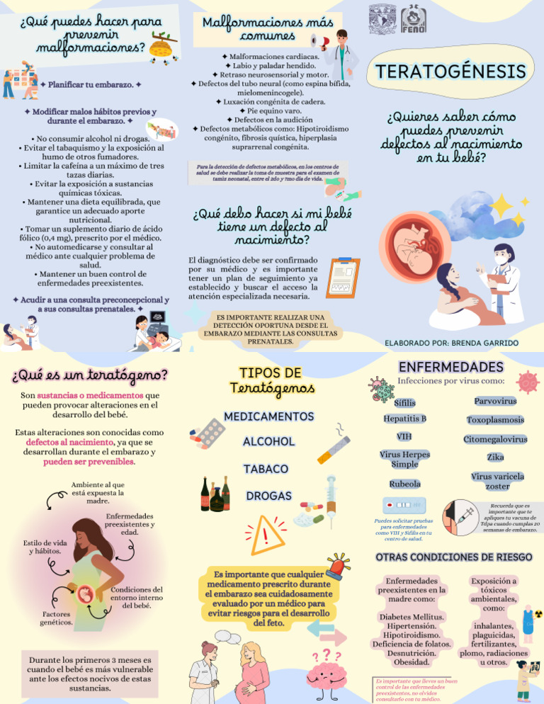 Triptico Sobre Teratogenesis | PDF