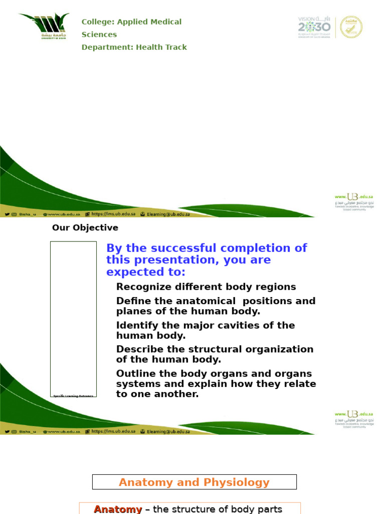 Human Body Regions and Systems Overview | PDF | Human Body | Abdomen