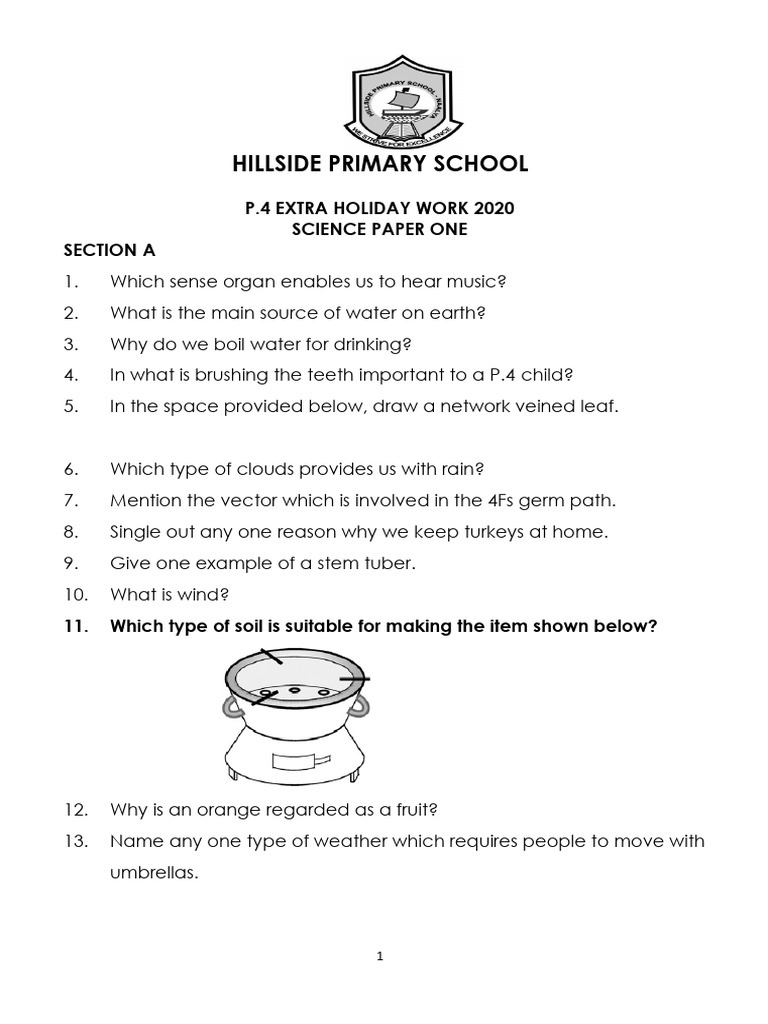 P4 Science Holiday Work-Hillside Primary School Naalya Set 1 2020 | PDF ...
