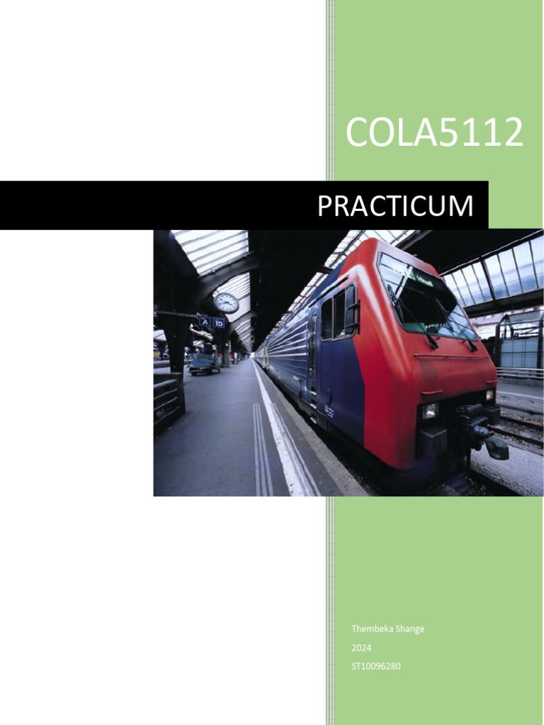 Practicum | PDF