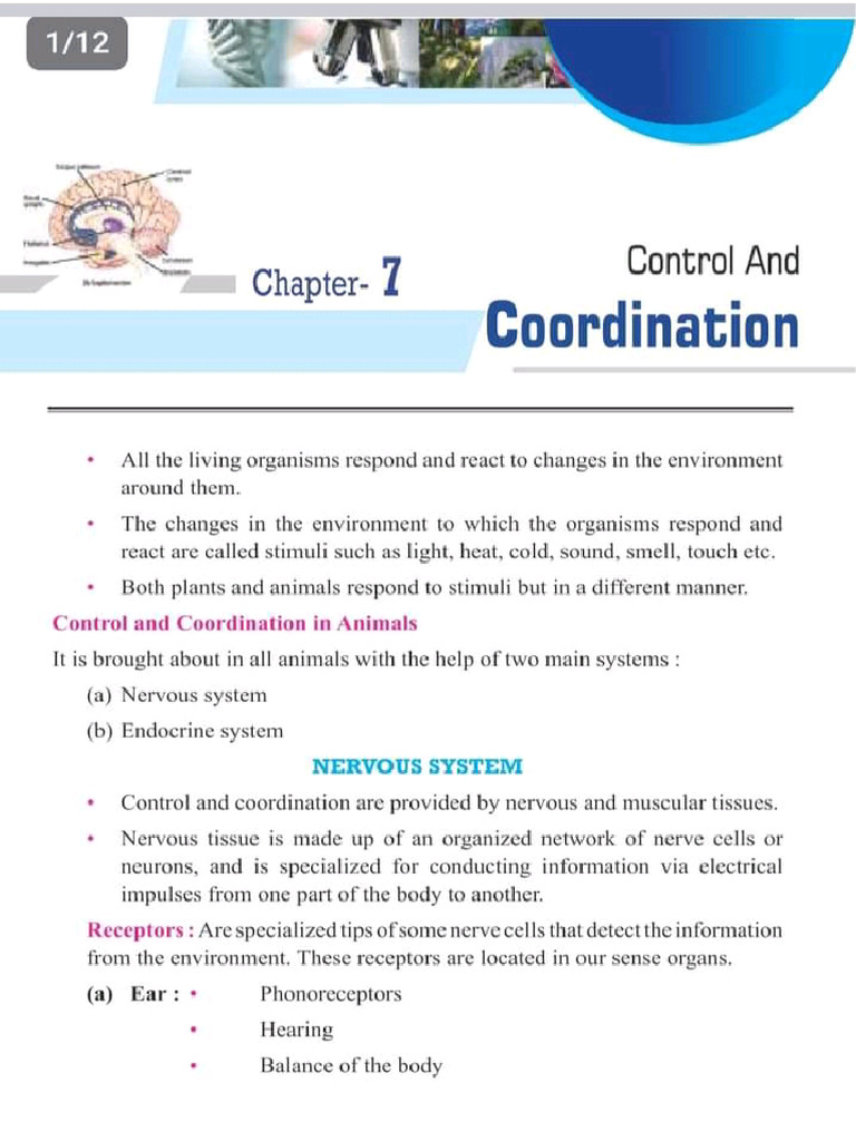 Control and Co-Ordination 1 | PDF