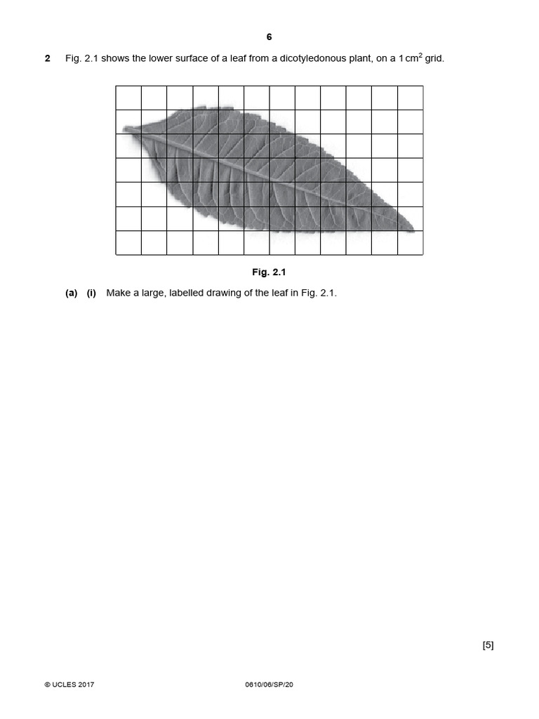 IGCSE Biology Paper 6 Leaf Analysis | PDF | Science & Mathematics