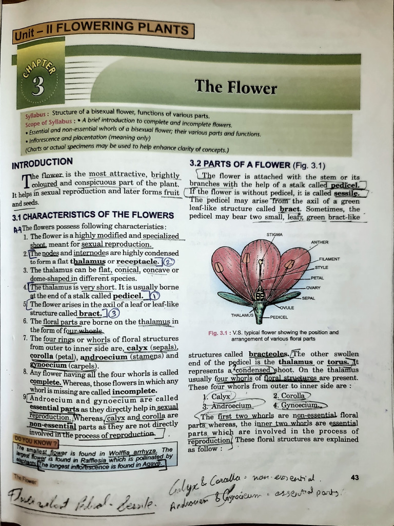 Biology CH 3 | PDF | Petal | Flowers