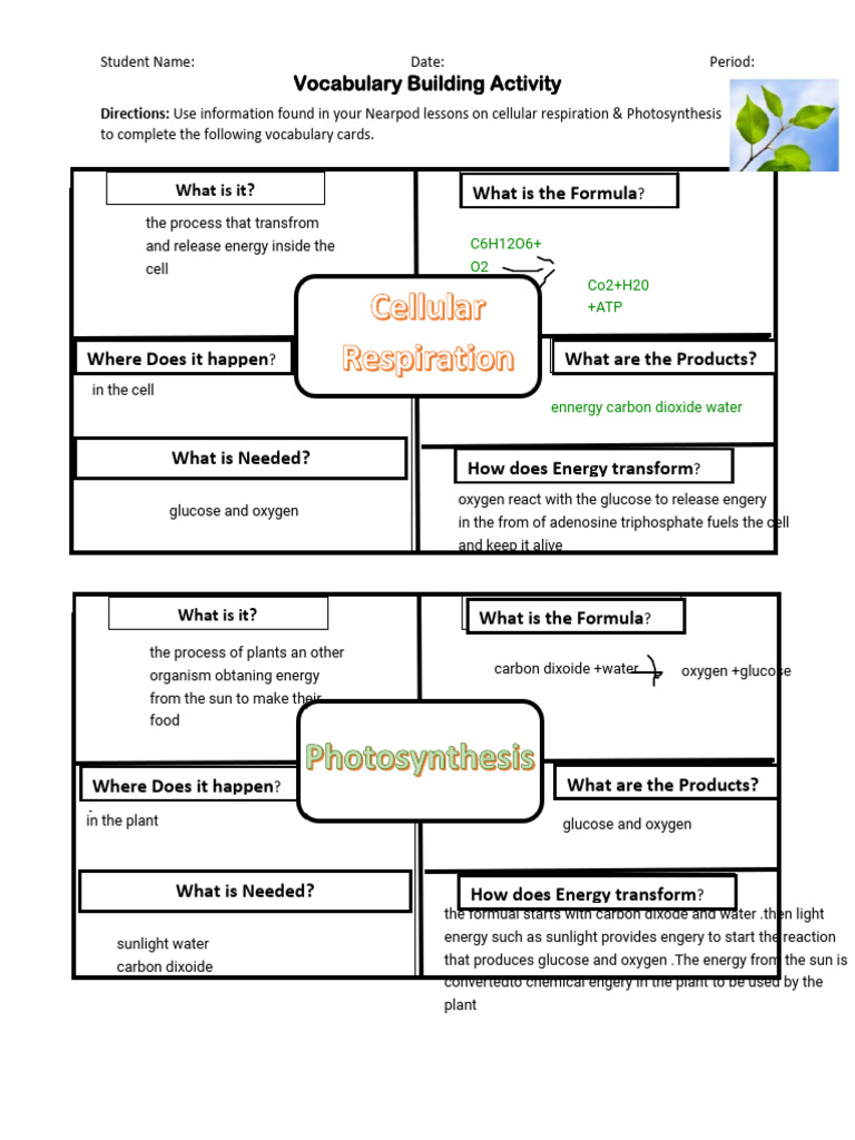 Kami Export - Jordin Hankerson Cayetano - Vocabulary Building Activity ...