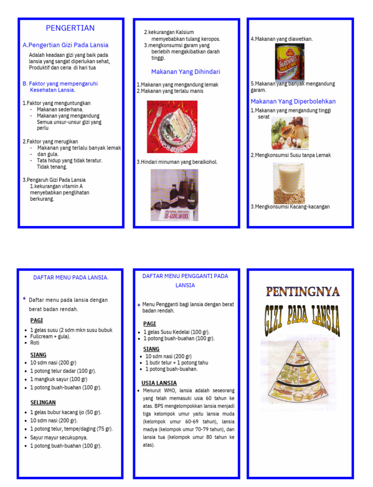 Menu Sehat Lansia: Gizi dan Nutrisi | PDF