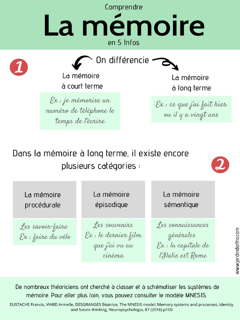 Comprendre La Mémoire en 5 Infos - Jardin D'ortho | PDF