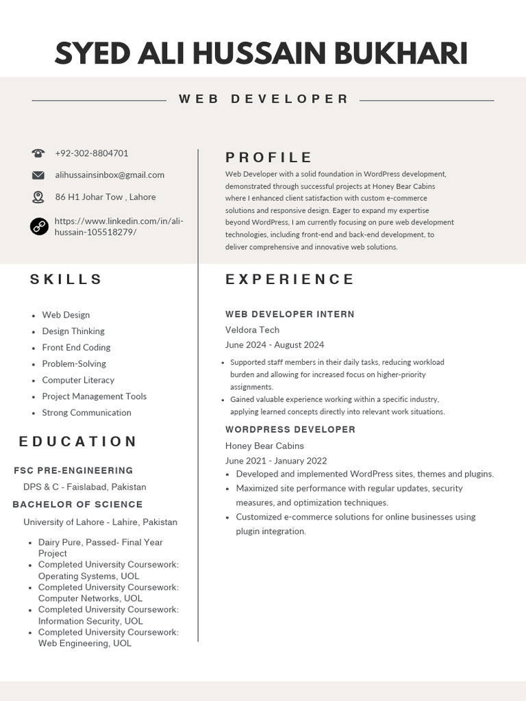 CV-Syed Ali Hussain | PDF | Word Press | Computing