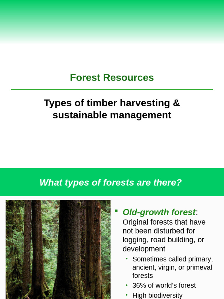 Topic 3. Deforestation and Forest Resources | PDF | Forests | Logging