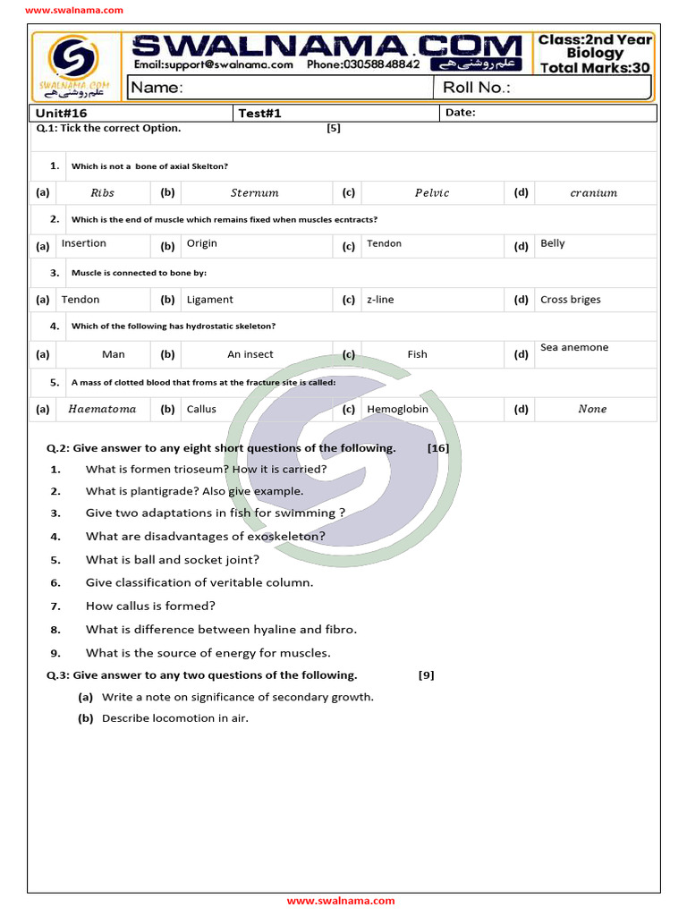 Biology Chapter 16 Test Questions | PDF