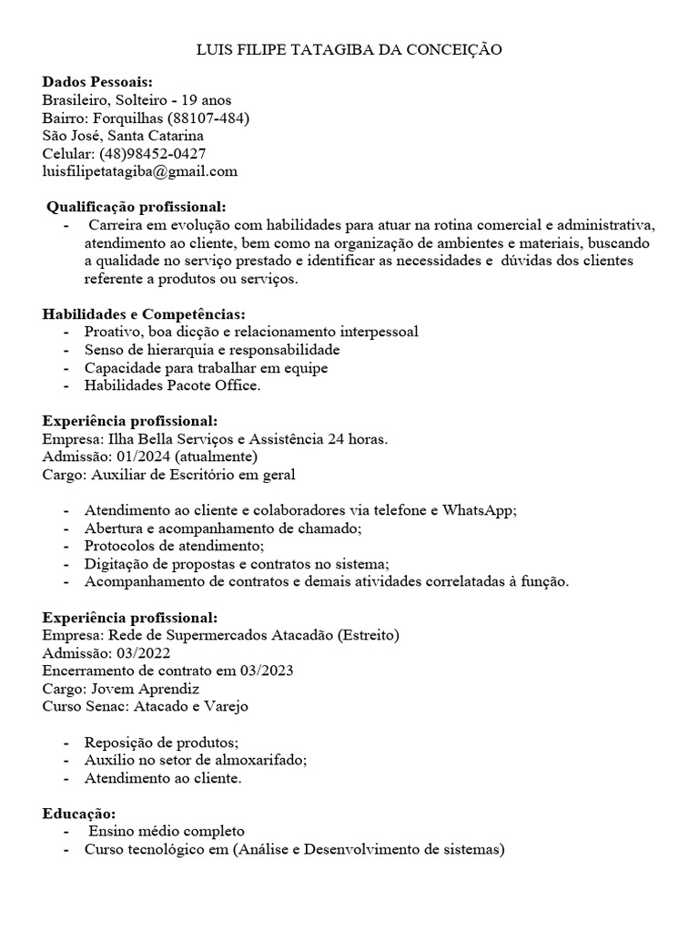 Curriculo Luis | PDF