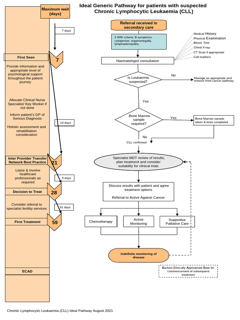 Chronic Lymphocytic Leukaemia CLL | PDF | Leukemia | Human Diseases And Disorders