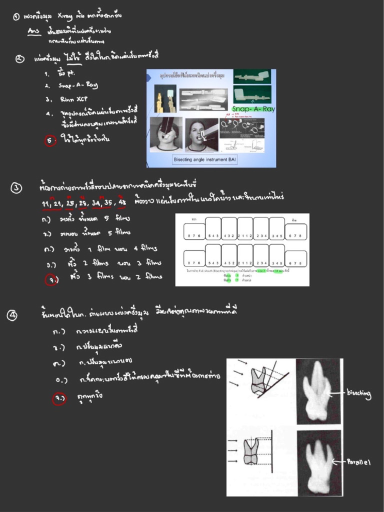 Bisecting Techniques | PDF