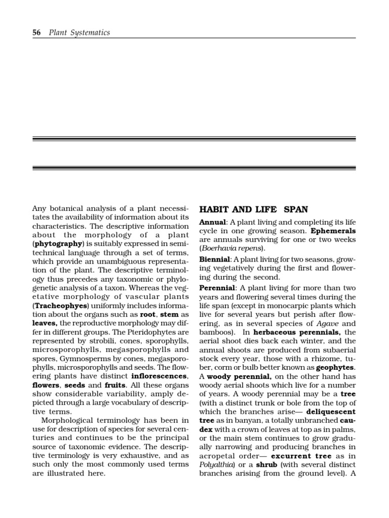 Plant Morphology and Terminology Guide | PDF | Leaf | Root
