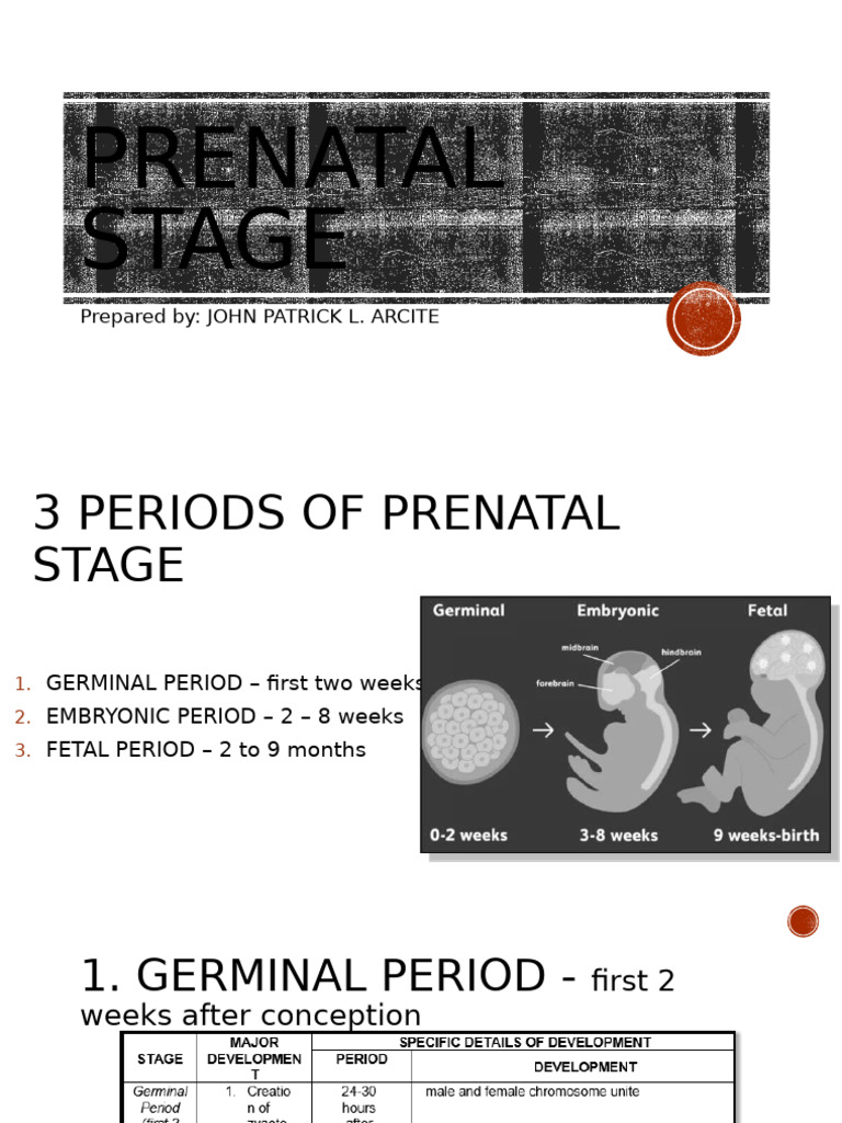 Lesson 1 - PRENATAL STAGE | PDF