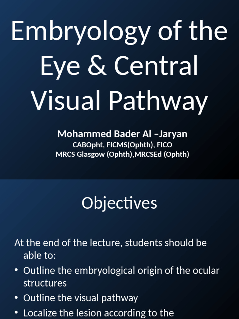 visual pathways | PDF | Ophthalmology | Human Anatomy