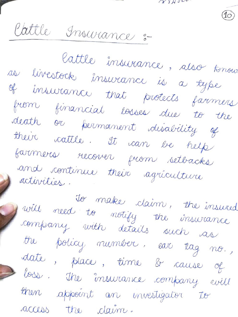 Insurance notes vk univ | PDF