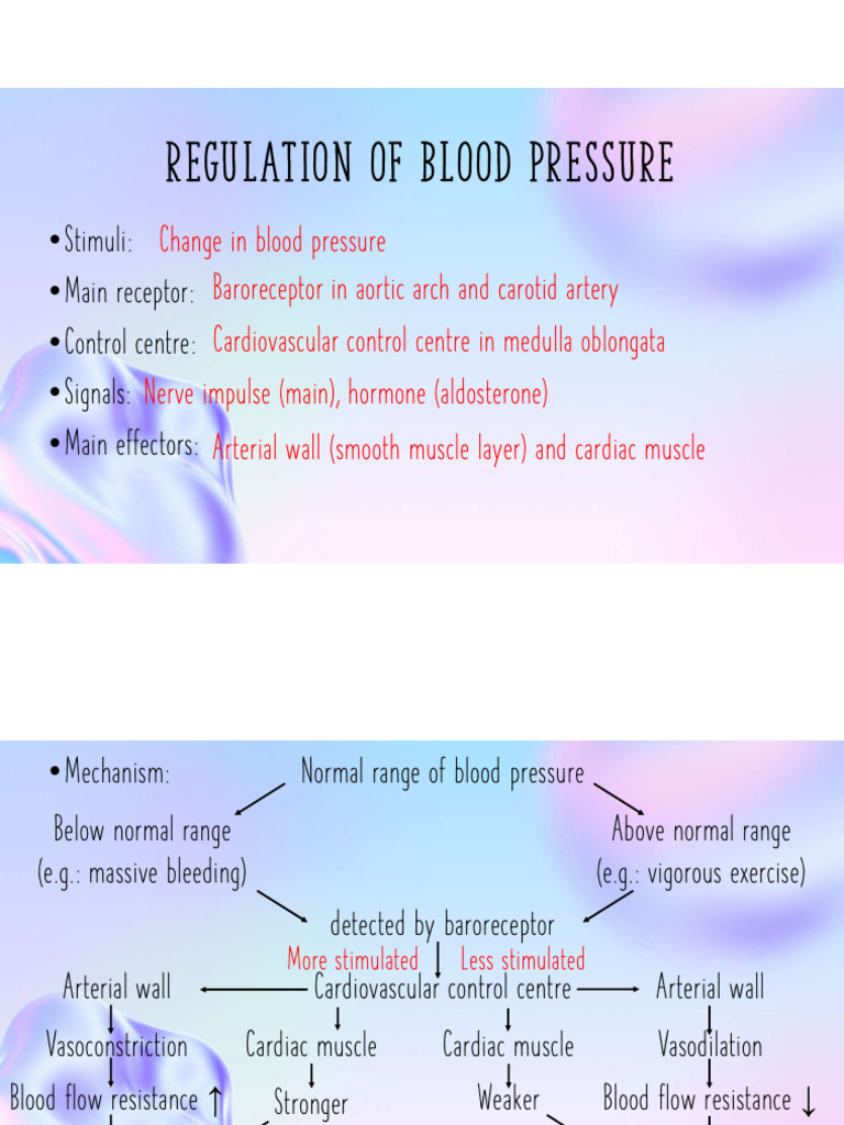 Body Regulatory Mechanism | PDF | Breathing | Respiratory System