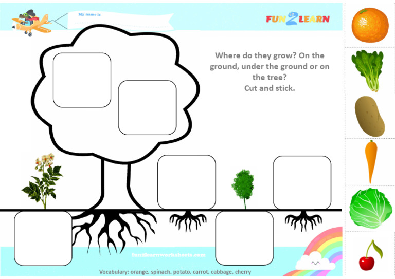 Where Plants Grow | PDF | Home & Garden | Science & Mathematics