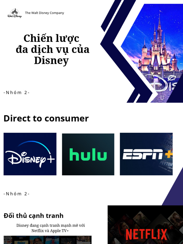 (Nhóm 2) - BTN Disney Case | PDF