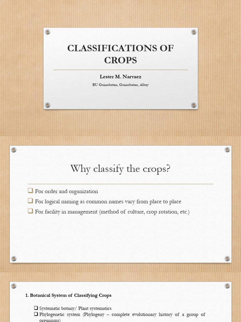 Crop Classifications and Botanical Systems | PDF | Botany | Crops