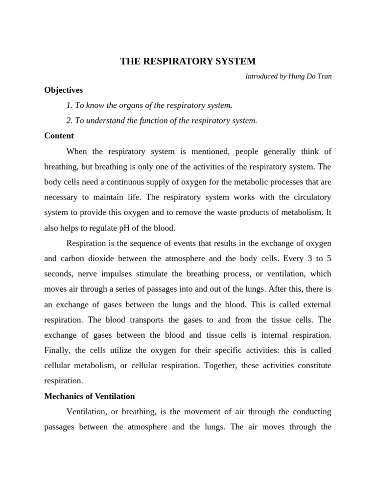 The Respiratory System | PDF | Breathing | Exhalation
