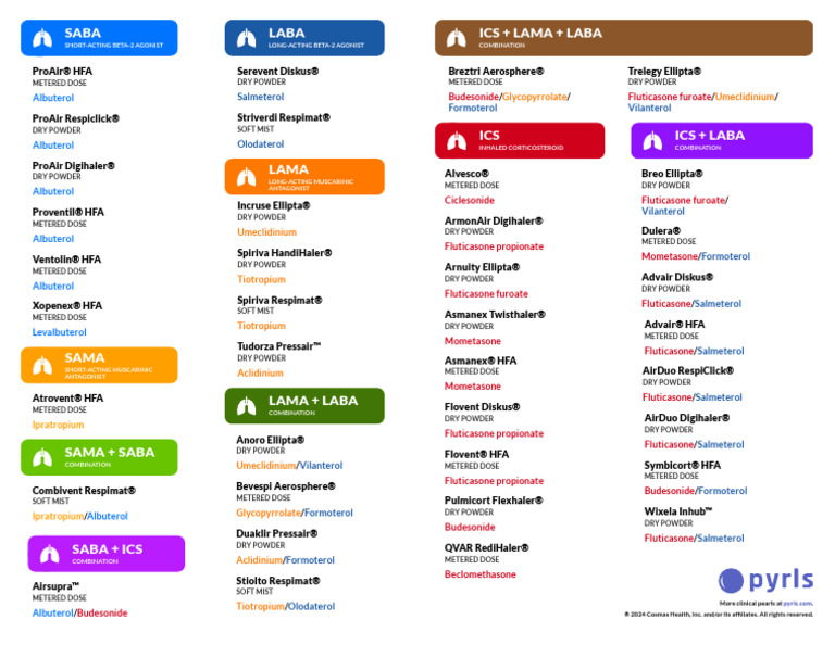 2024 Inhalers Basicv1 2 | PDF | Asthma | Medical Treatments