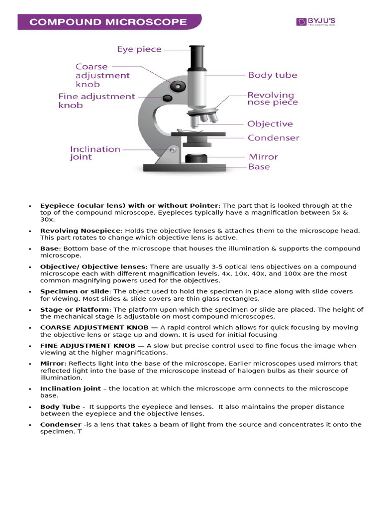 Parts of A Microscope | PDF | Science & Mathematics