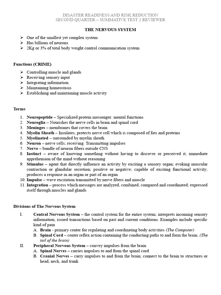 DRRR - Summative Test 2 Reviewer | PDF | Respiratory System | Nervous ...
