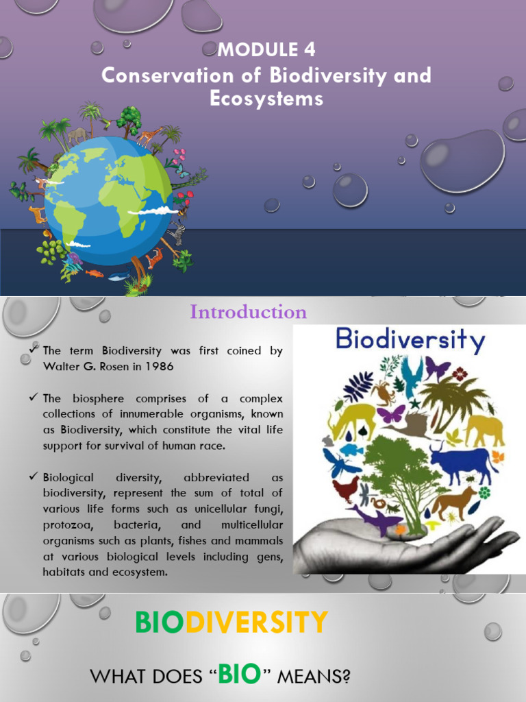 Biodiversity Conservation Overview | PDF | Biodiversity | Ecosystem